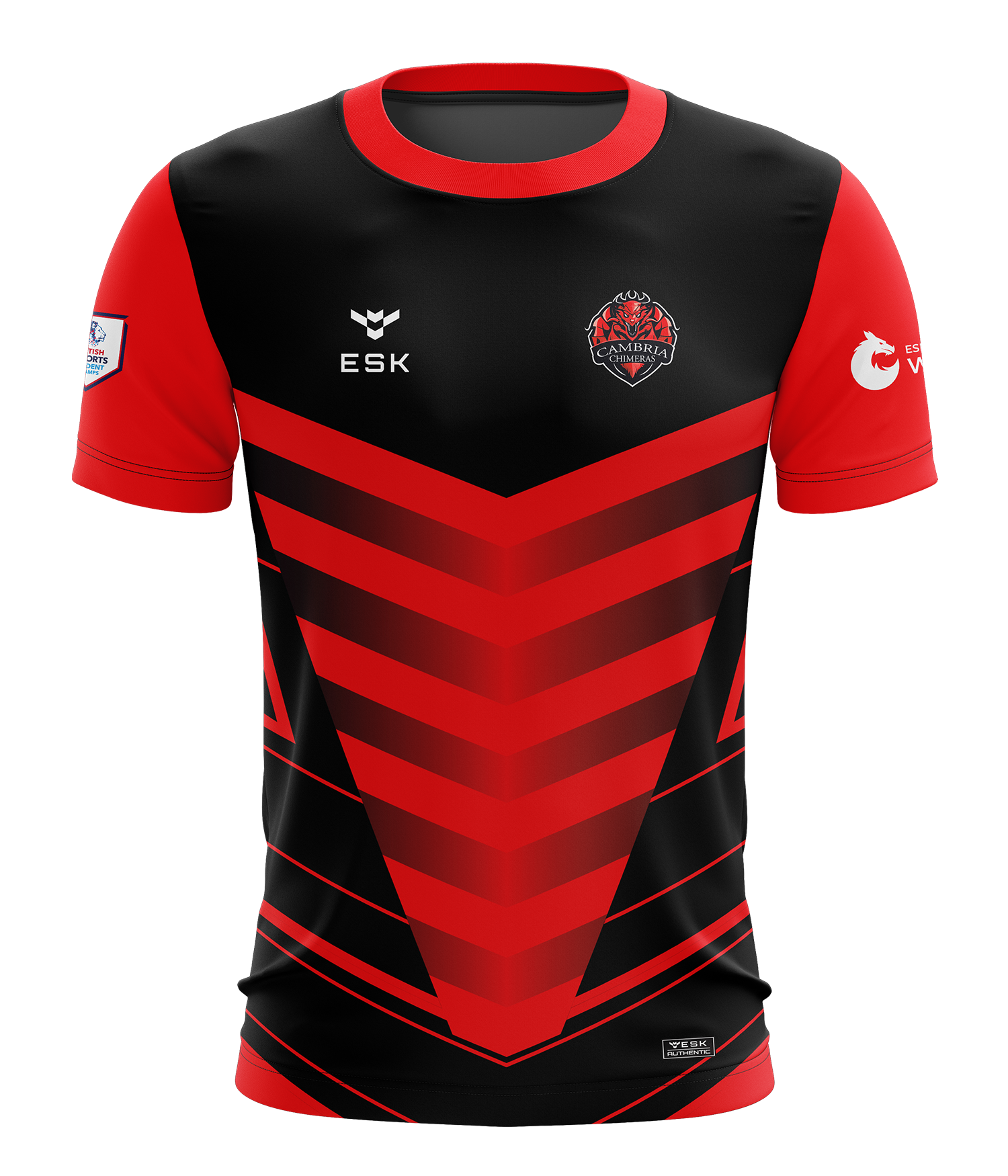 Cambria Chimeras Jersey – ESK