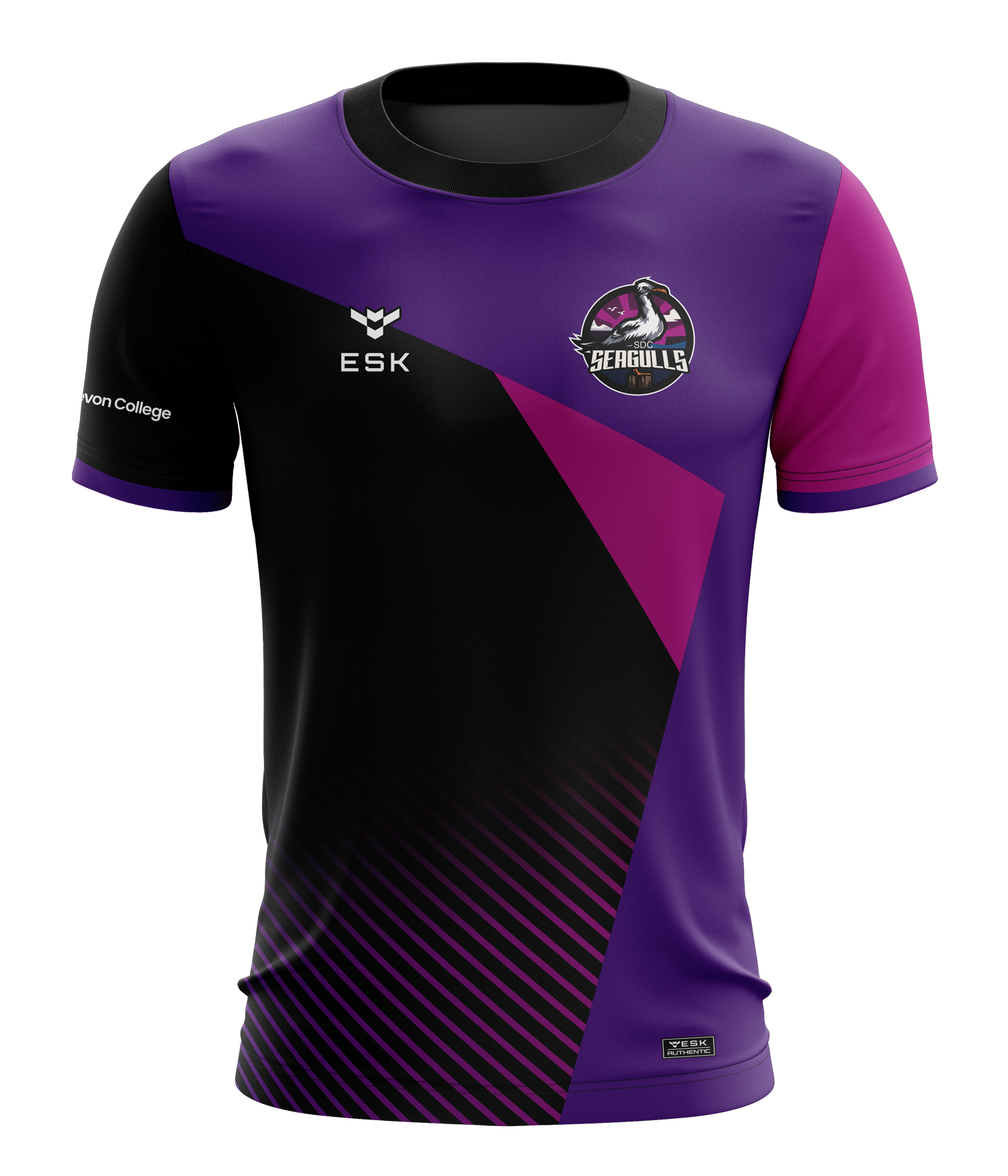 SDC Seagulls Esports Jersey – ESK