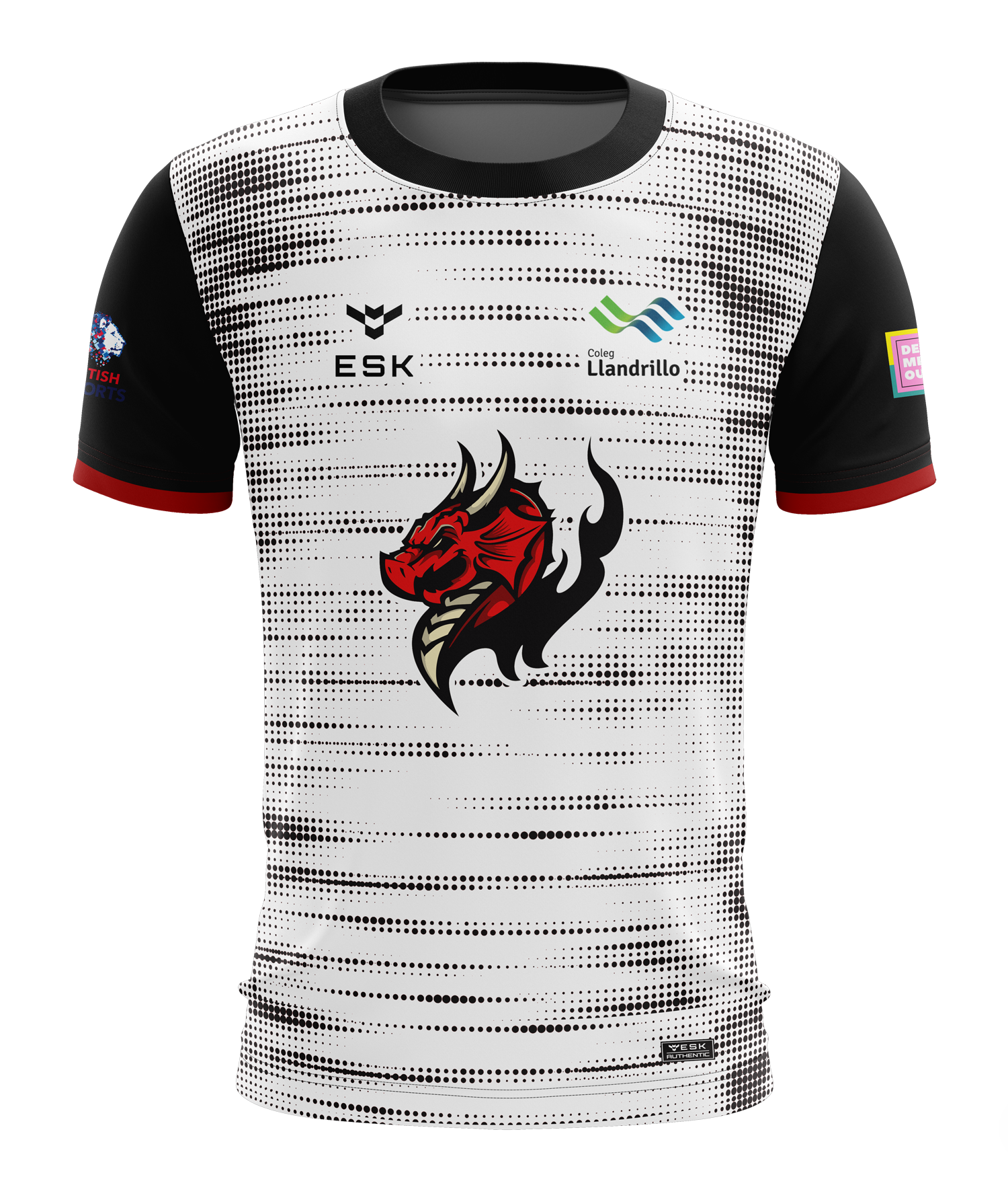 Llandrillo Dragons Student Esports Jersey – ESK