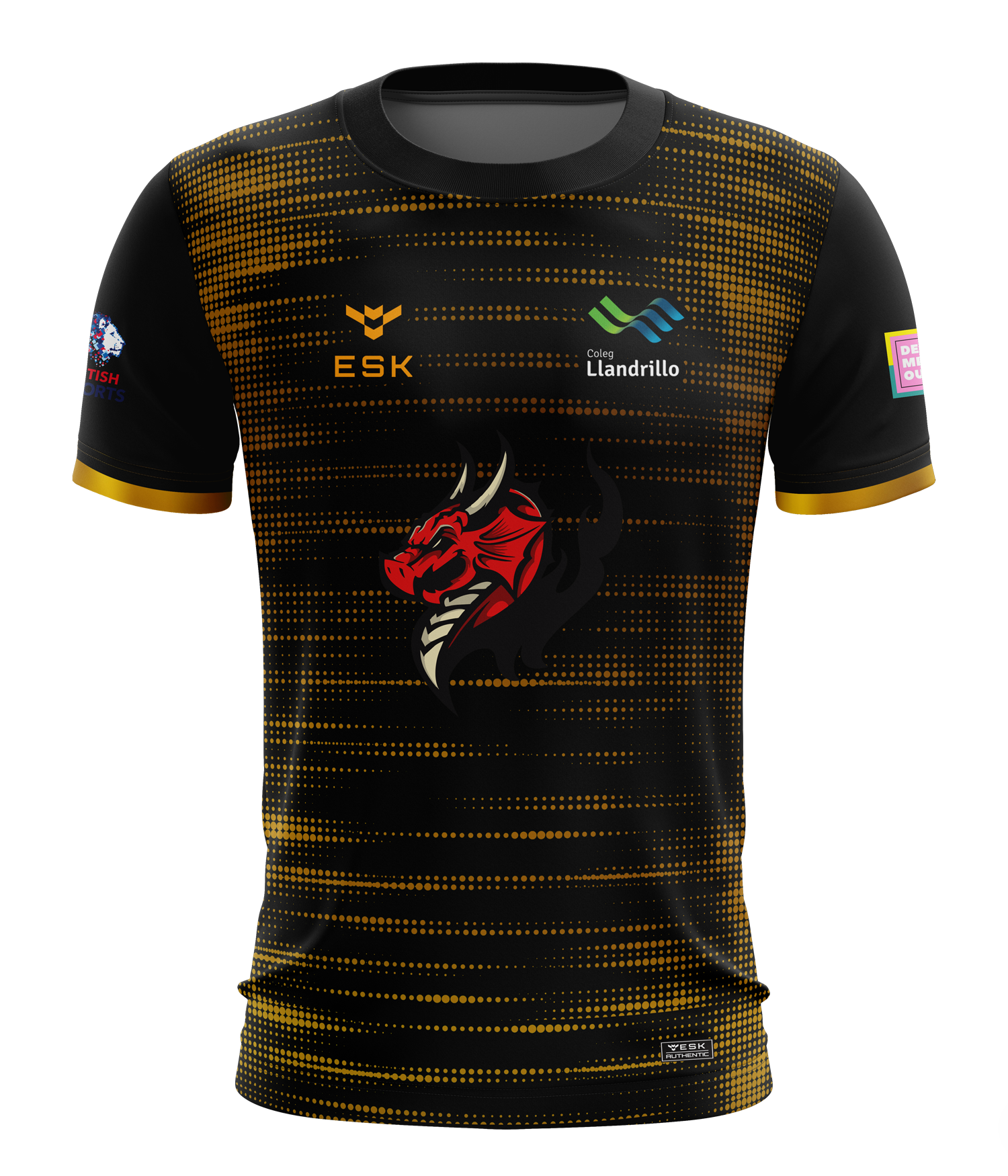 Llandrillo Dragons Staff Esports Jersey – ESK